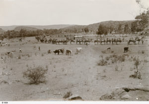 61 – The Overland Telegraph Line – Australian Histories Podcast